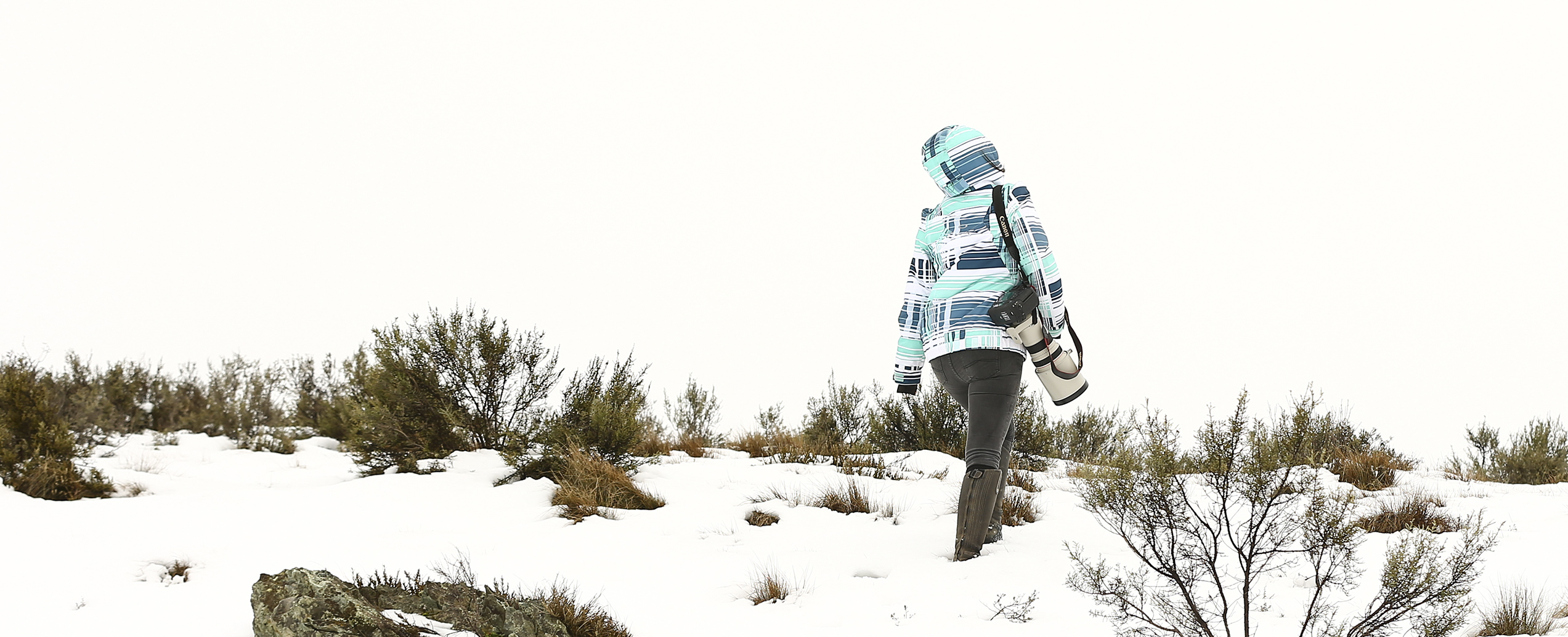 Kelly Wilson Award-Winning Photographer